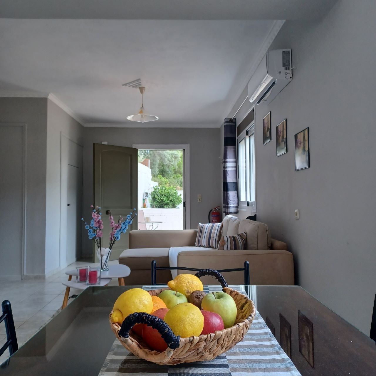 Μπουκαμβίλια - Bougainvillea - Iciao